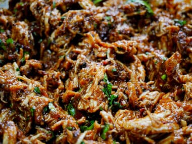 Smoky Adobo Chicken – The Salty Nerve